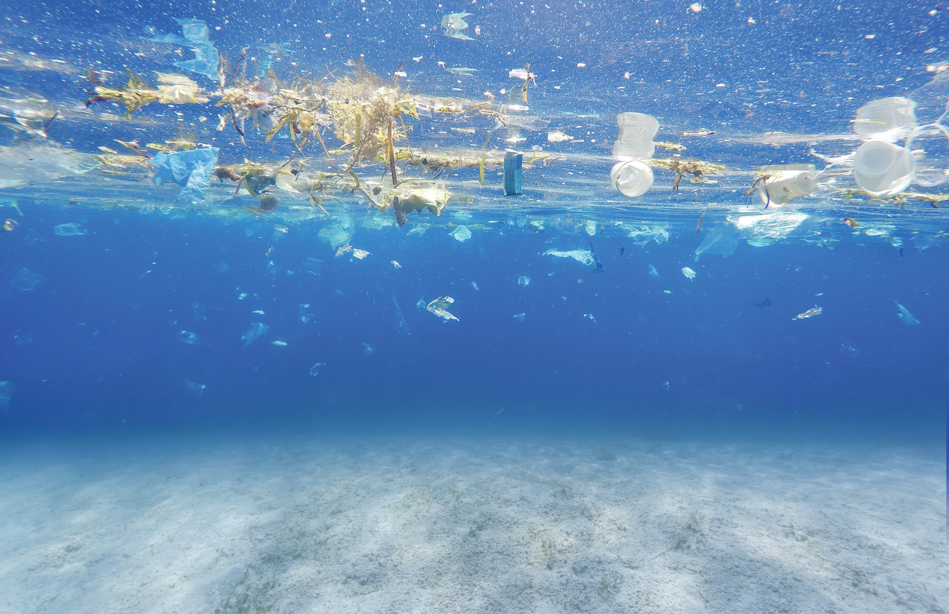 Eagle Creek Supports Plastic Pollution Action – Traynor On The Trail